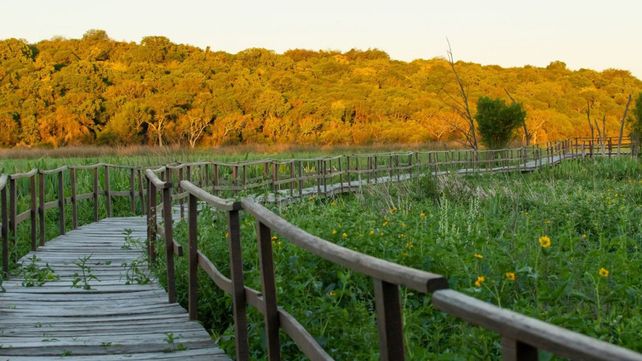 Turismo en las Lomadas entrerrianas y ruta del Delta